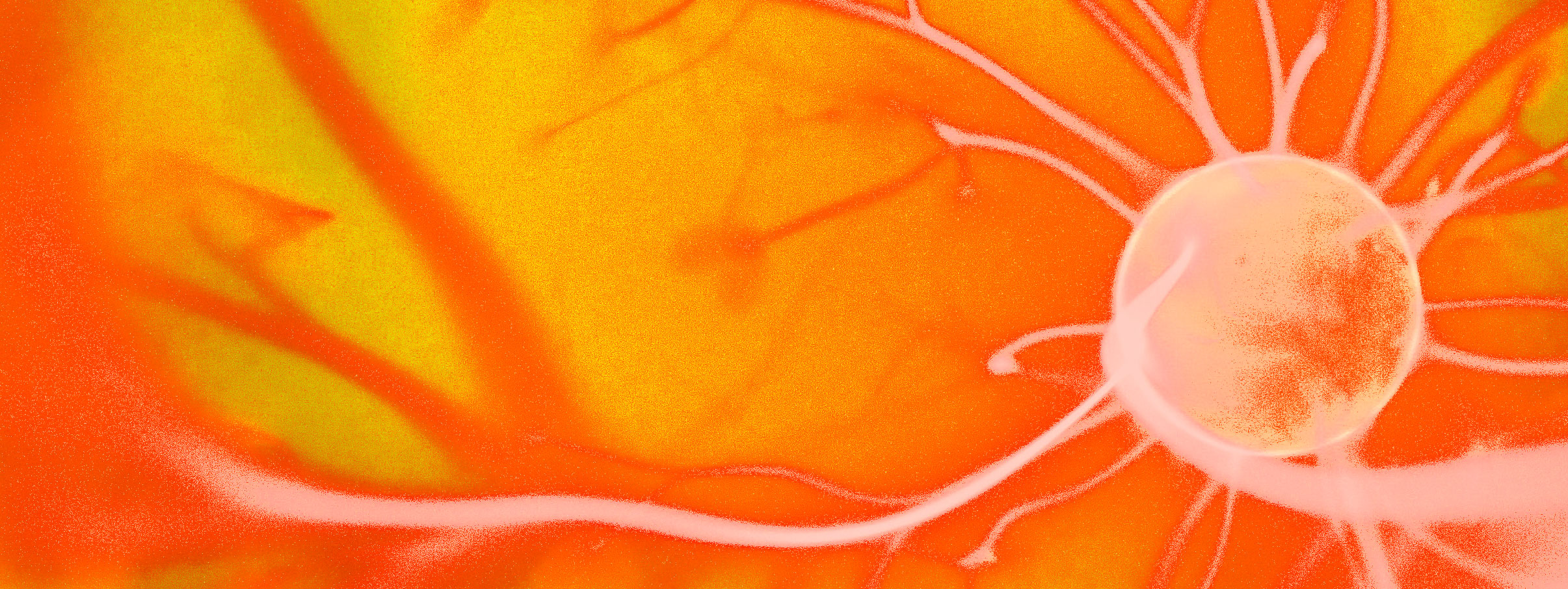 How To Create Motion Graphics - Hartson Creative